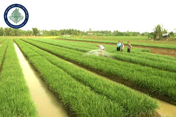 Đất trồng lúa nước còn lại được quy định như thế nào?