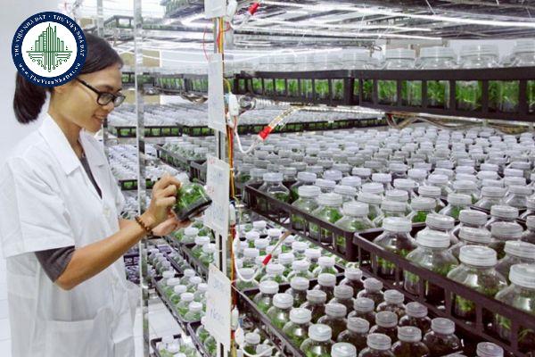 Mẫu Quyết định về việc cấp lại Quyết định công nhận lưu hành đặc cách ...