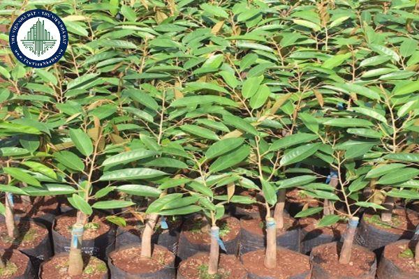 Hồ sơ đề nghị cấp, cấp lại Quyết định công nhận lưu hành đặc cách giống ...