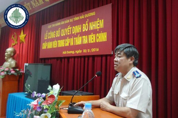 Tiêu chuẩn về năng lực chuyên môn, nghiệp vụ của ngạch Thẩm tra viên ...