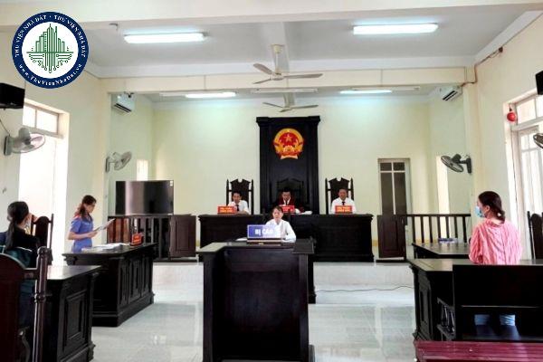 Trường hợp tại phiên tòa dân sự sơ thẩm, đương sự thay đổi, bổ sung yêu ...