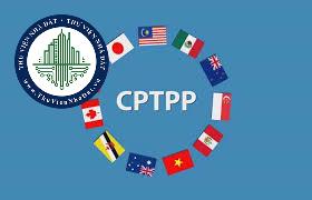 Quy định về việc miễn chứng từ chứng nhận xuất xứ hàng hóa theo Hiệp định CPTPP bao gồm những gì?