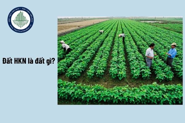 Đất HKN là đất gì? Năm 2025, hạn mức giao đất HKN hiện nay cho cá nhân ...