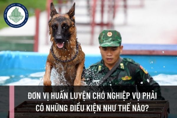 Chó nghiệp vụ được sử dụng khi nào? Đơn vị huấn luyện chó nghiệp vụ phải có những điều kiện như ...
