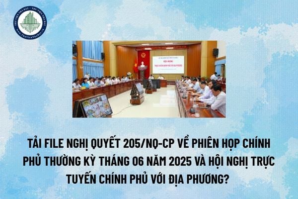Tải file Nghị quyết 205/NQ-CP về phiên họp chính phủ thường kỳ tháng 06 năm 2025 và Hội nghị ...